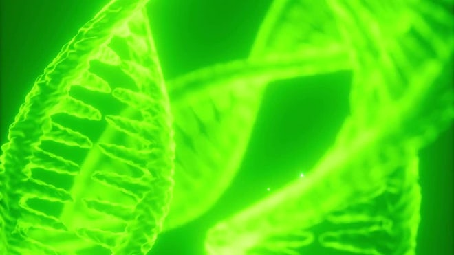 Green Screen Dna Double Helix Structure Animation Dna Double Helix 3D