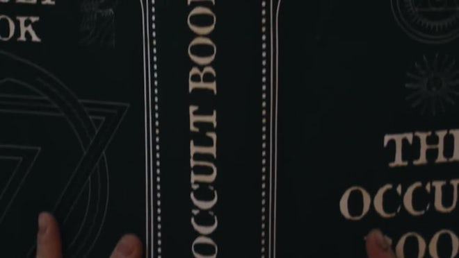 The All-in-One Video & Filmmakers Platform | Motion Array