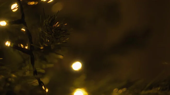 Blinking Christmas Lights Desktop Wallpaper The 8 Best Christmas